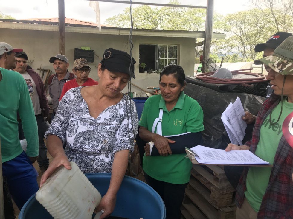 Noticias Archivos - COMSA