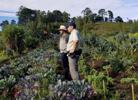 Noticias Archivos - COMSA