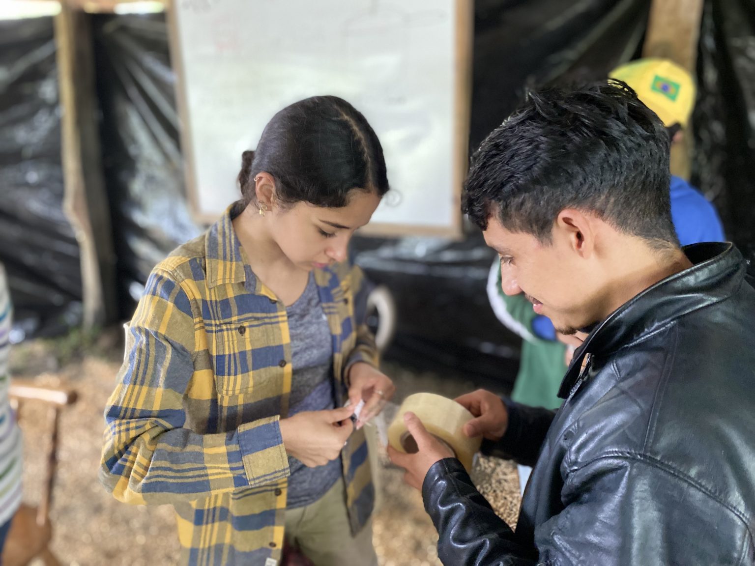 Se desarrolla taller de micología tropical y biorremediación | COMSA